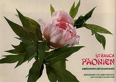 Wild,Gilbert H, & Son , Catalog1971